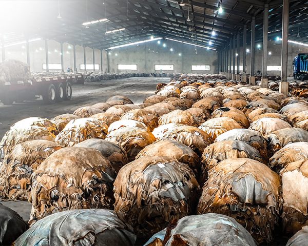 60 Years Of Remarkable Mamuda History- History -mamudagroup